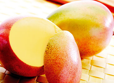 MANGO PERUANO: Descripción del Mango